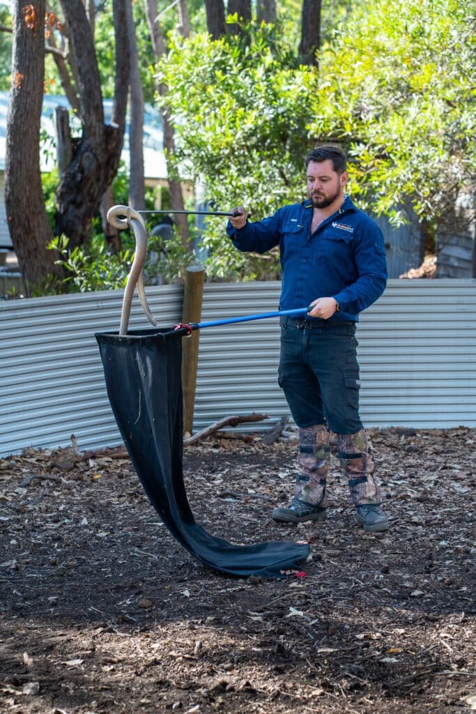 Snake Handling Kit Solo - Animal Ark
