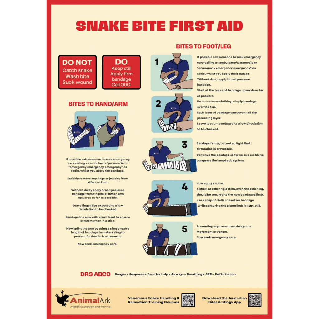 Australian Snake Bite First Aid POSTER - Animal Ark