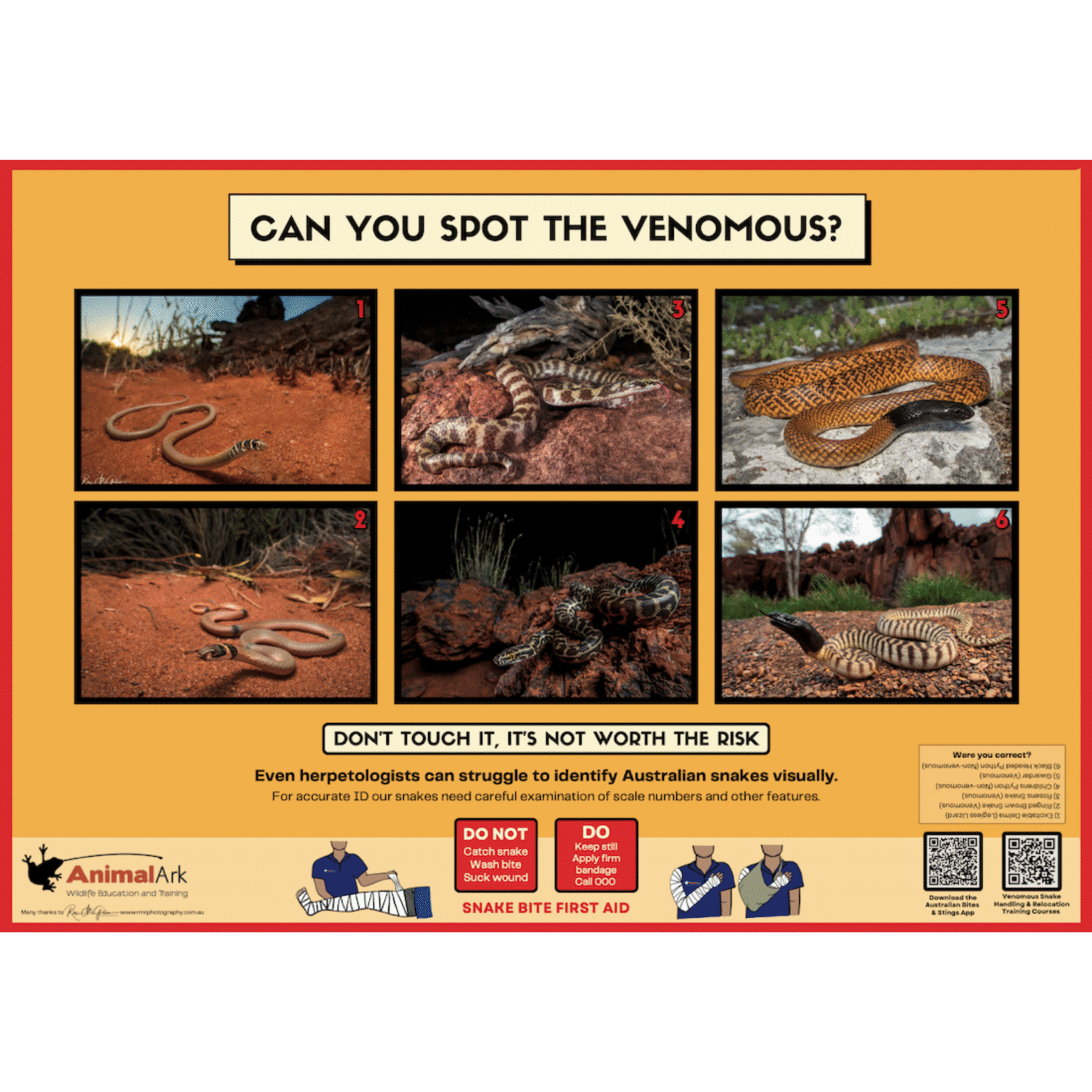Australian Snake Bite First Aid POSTER - Animal Ark