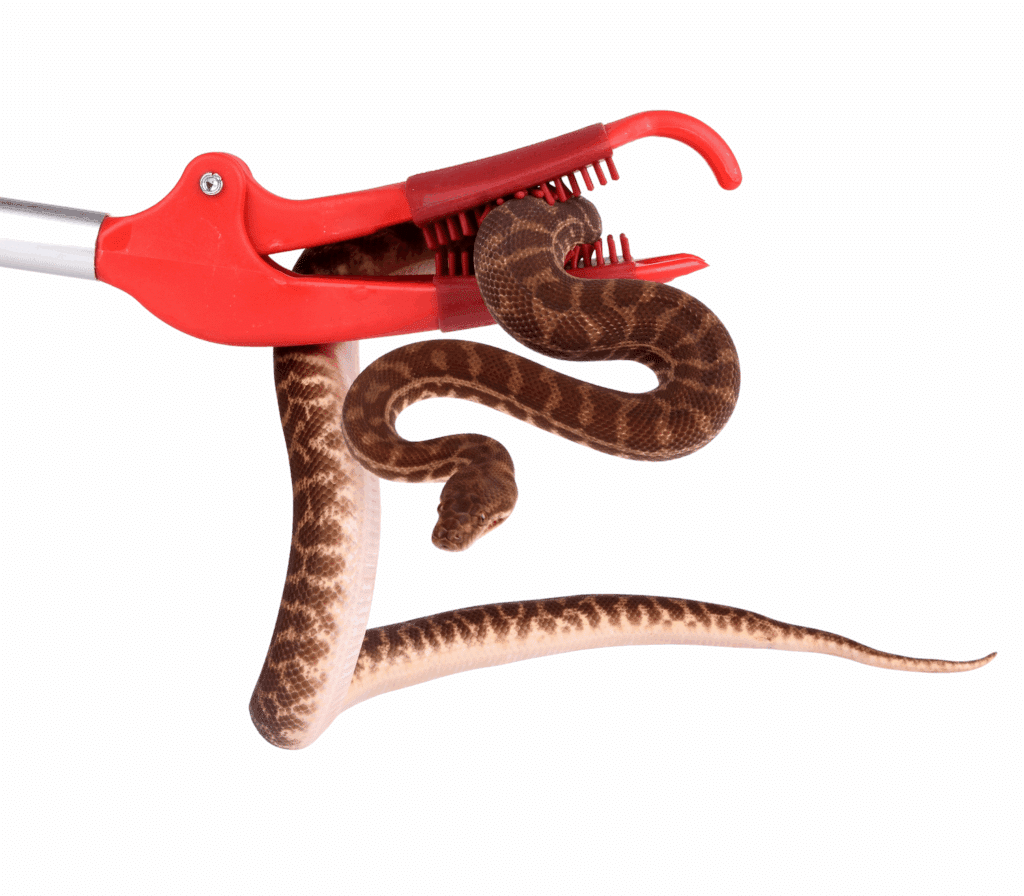 Snake Handling Kit Team - Animal Ark
