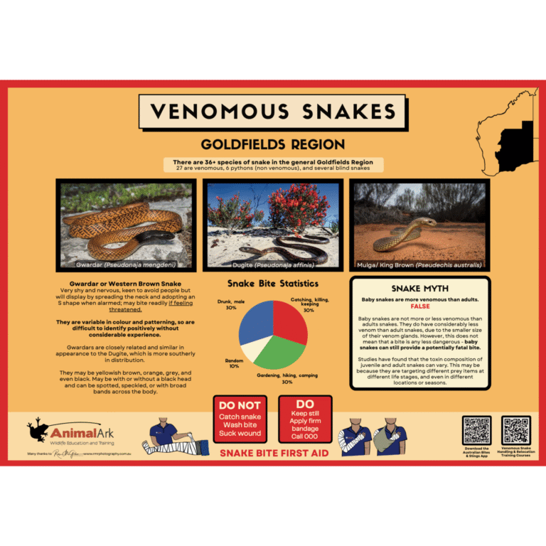 Venomous Snakes of the Goldfields Region POSTER - Animal Ark