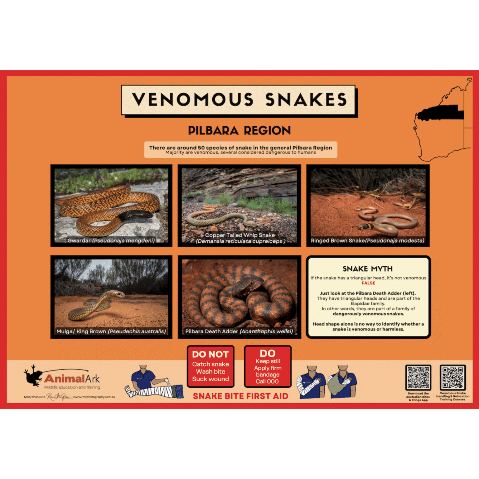 Australian Snake Bite First Aid POSTER - Animal Ark